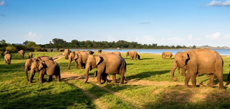 Multi Country Asia Tours & Vacation Packages | Top 10+ Asia Trips